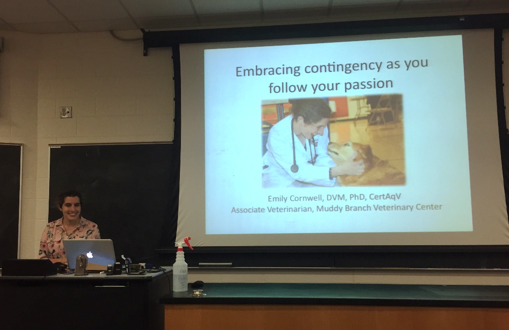 Reflections and Connections Feature Alumnae - News and Events