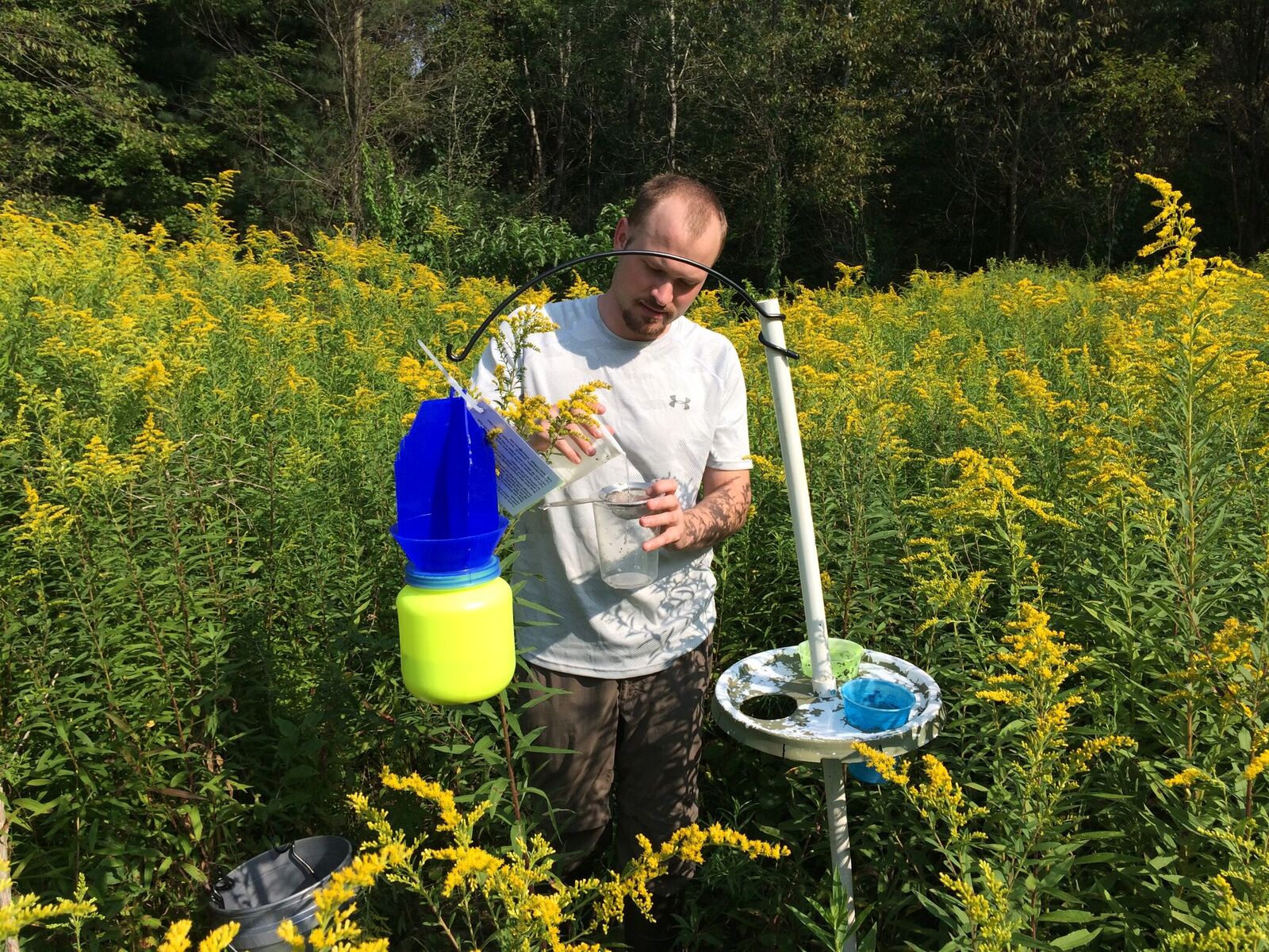 Pollinators Project Begets Buzz at Anderson Arboretum - News and Events