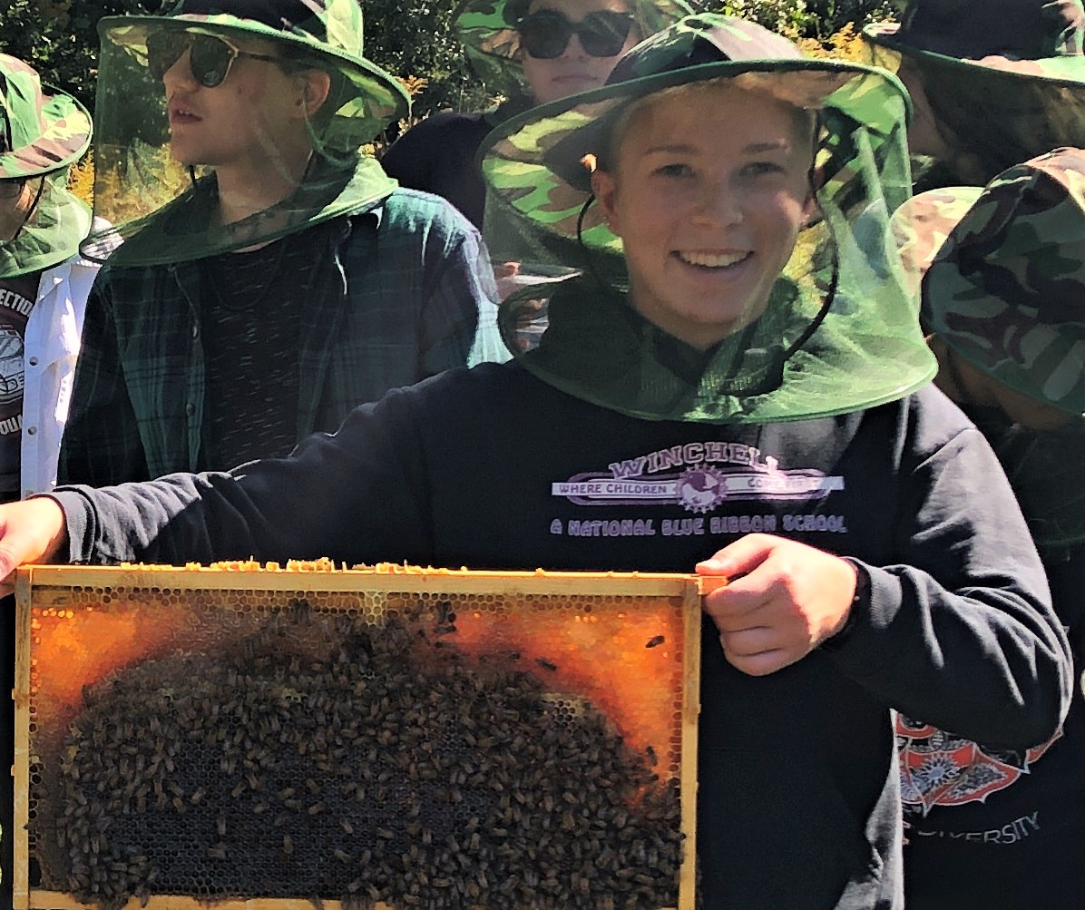 Honey Bees, Hives Inspire Entomology Students - News and Events