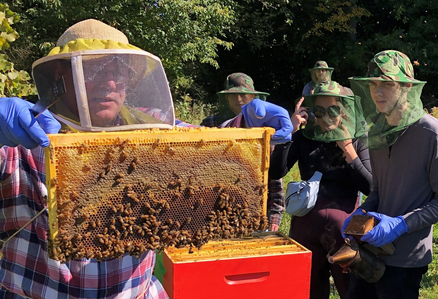 Honey Bees, Hives Inspire Entomology Students - News and Events