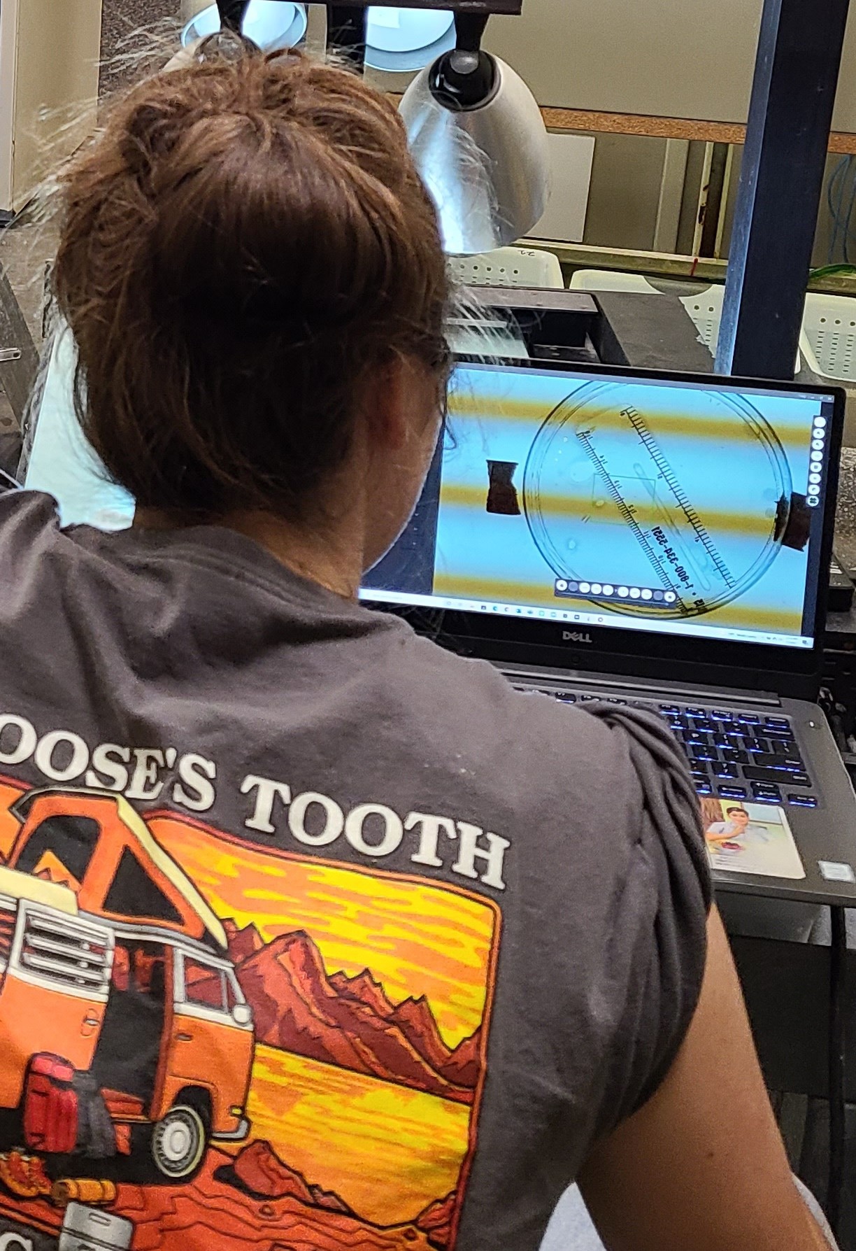 Women in Science: Student's Research Signals Trouble for Fish, Oceans
