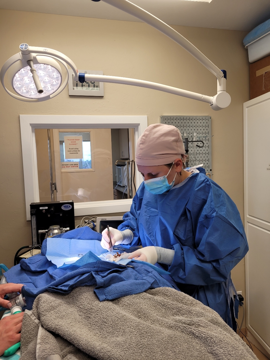 Wildlife Benefits from Alumna's Work - News and Events